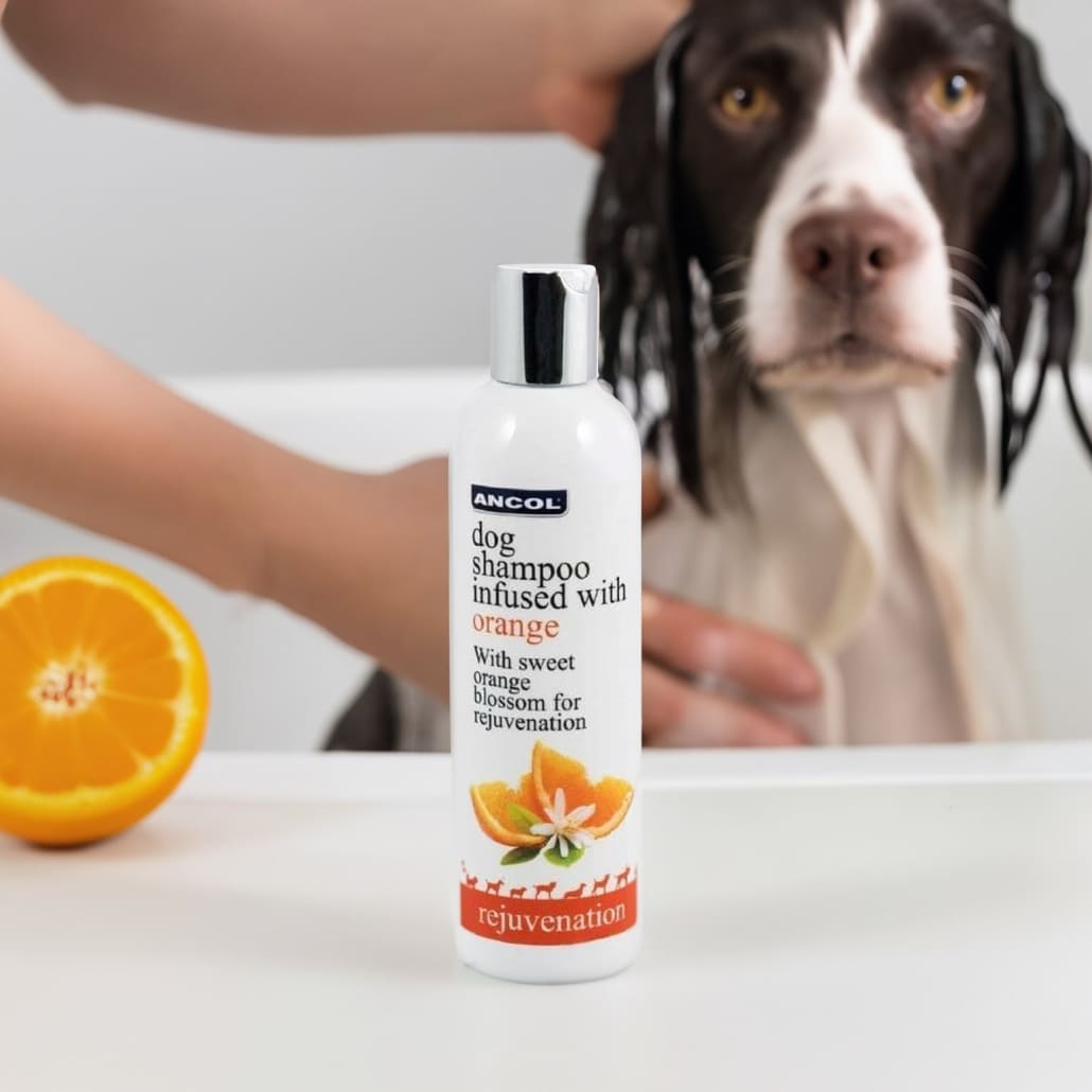 Orange Blossom Dog Shampoo – Puppy Safe SLS/Paraben Free – Luna & Leash